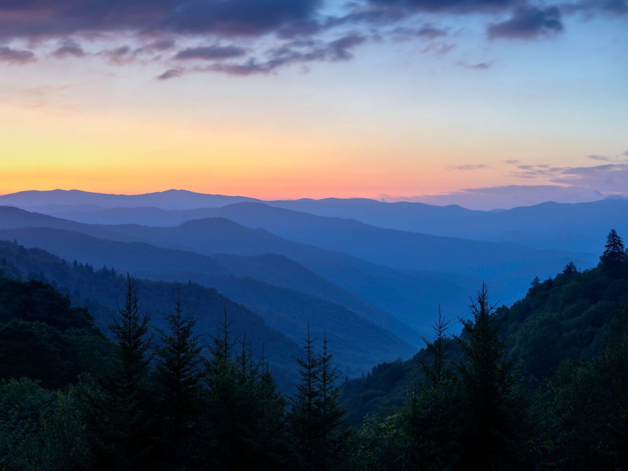 Pet Allergy & Dermatology In Oak Ridge, TN | Oak Ridge Veterinary Hospital